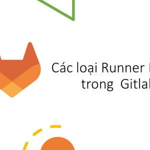 Phần 2: Các loại Runner Executor trong Gitlab CI - TEL4VN